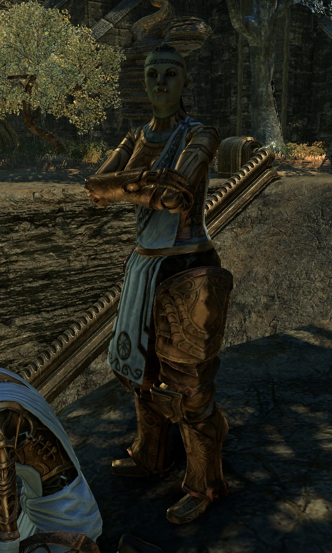 Snabgrara | Wiki The Elder Scrolls | Fandom