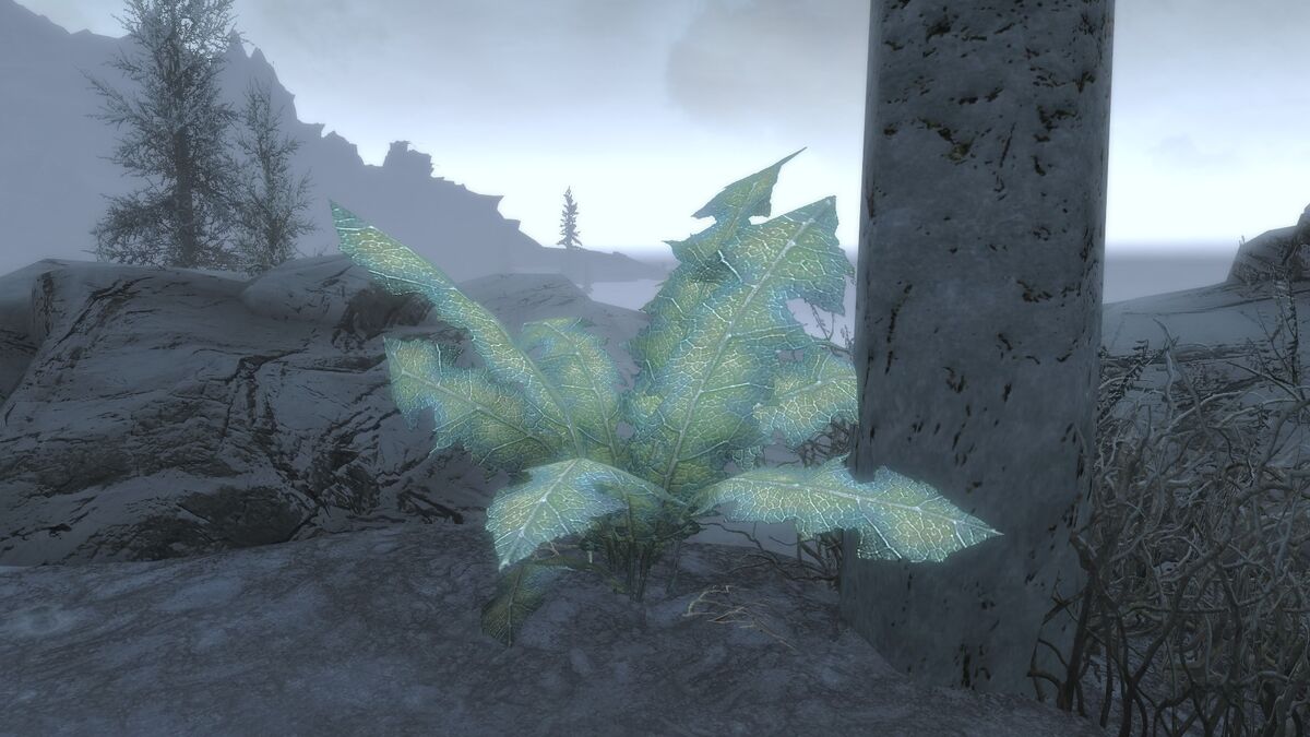 Корень Нирна Skyrim The Elder Scrolls Wiki Fandom
