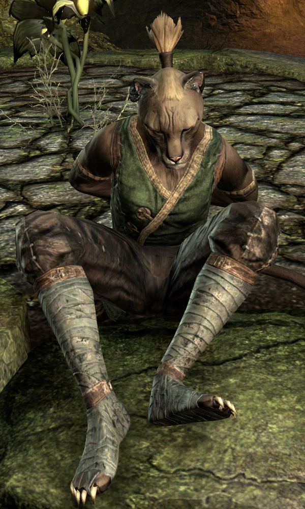 Aranak | Elder Scrolls | Fandom