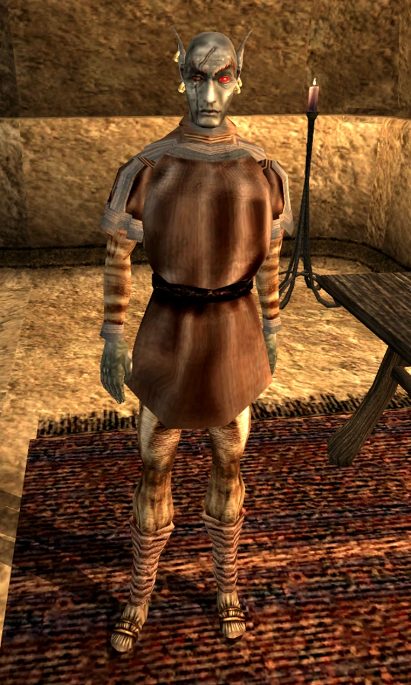 Bervyn Lleryn | Elder Scrolls | Fandom