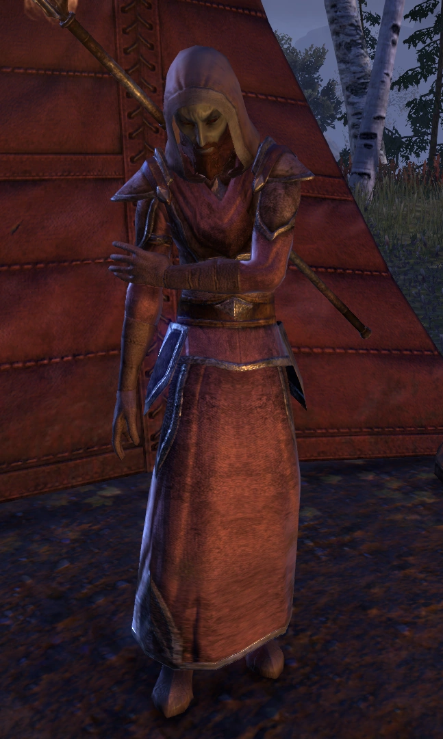 Davur Fendyn | Wiki The Elder Scrolls | Fandom