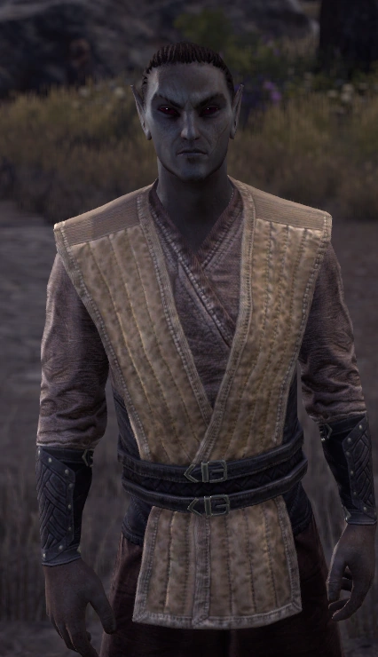 Gordol Teddalennu | Wiki The Elder Scrolls | Fandom