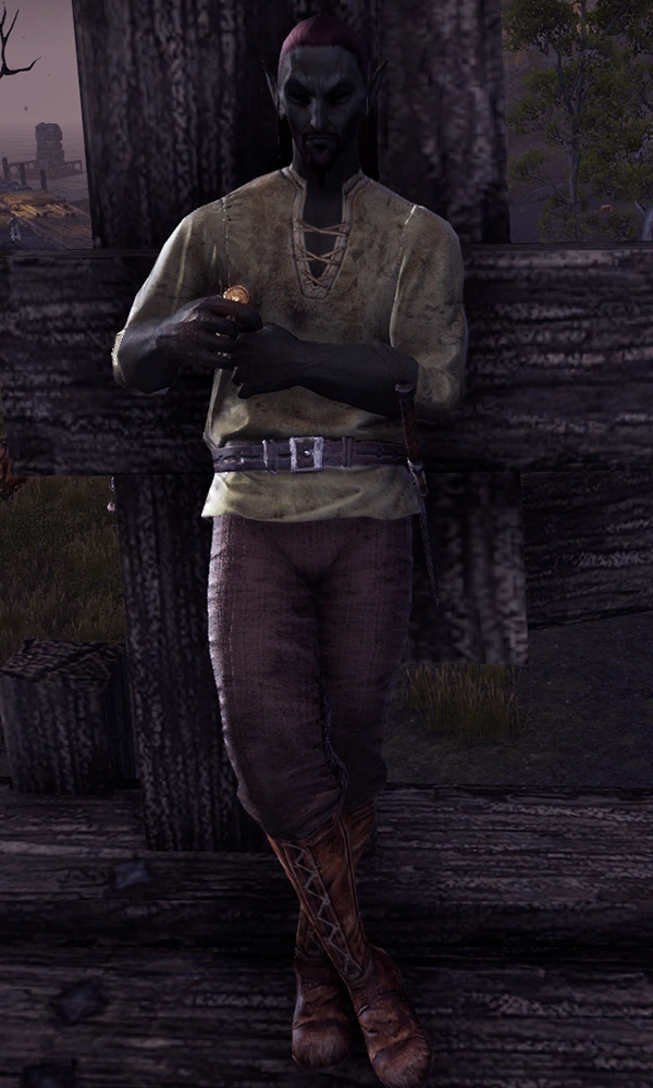 Relyn Dolovas | Elder Scrolls | Fandom