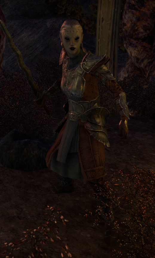 Sentinelle Shelethys Wiki The Elder Scrolls Fandom