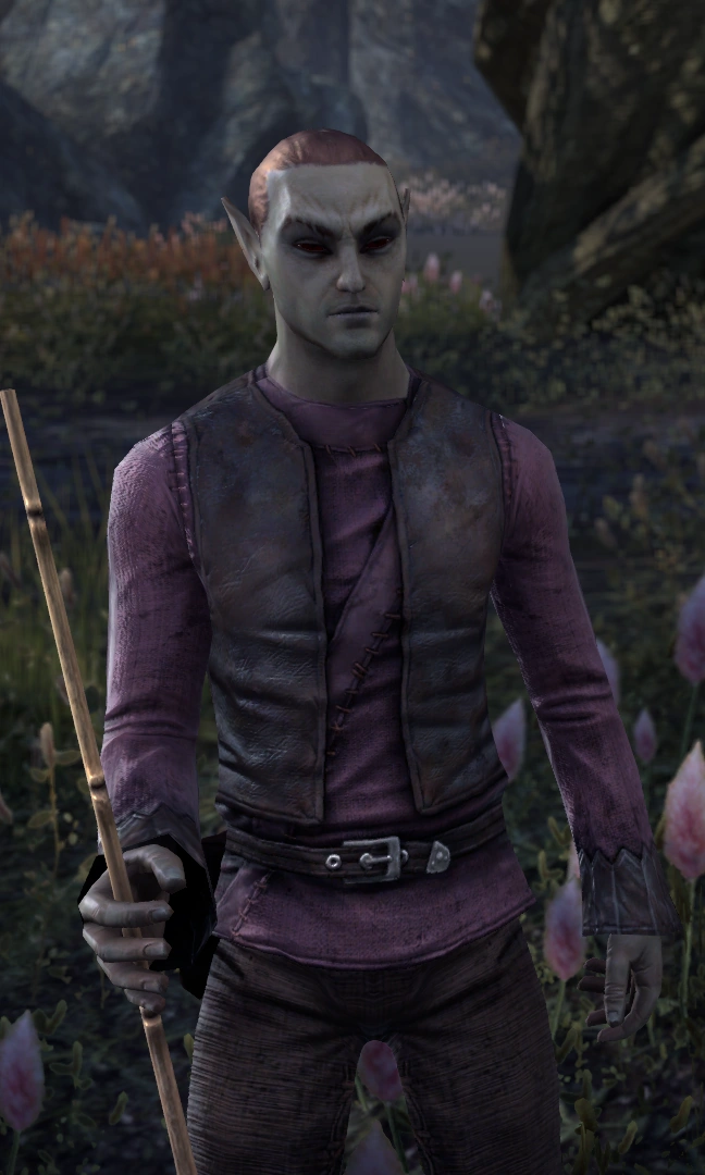 Apprenti Harlin | Wiki The Elder Scrolls | Fandom