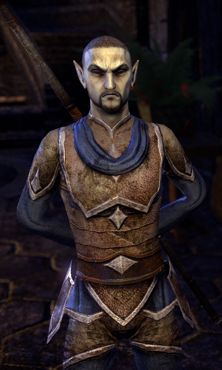 Garyn Indoril | Wiki The Elder Scrolls | Fandom
