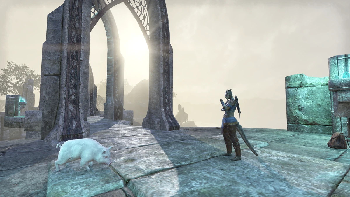 In Need of a Bath | Elder Scrolls | Fandom
