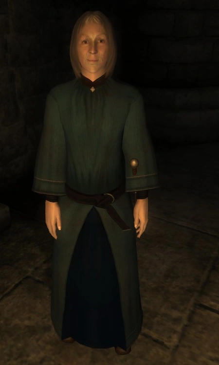 Mage (Oblivion) | Elder Scrolls | Fandom