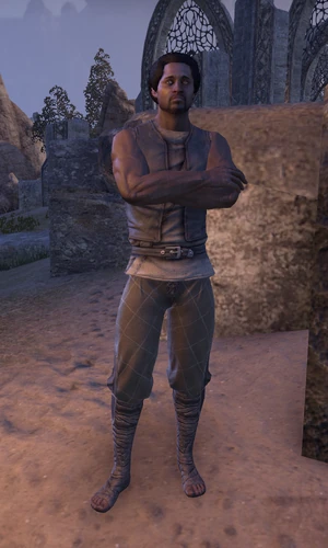 Najan | Elder Scrolls | Fandom