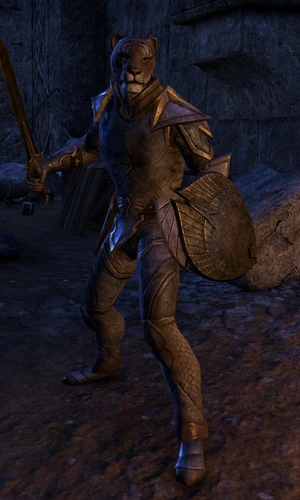 Sentinelle du Domaine | Wiki The Elder Scrolls | Fandom