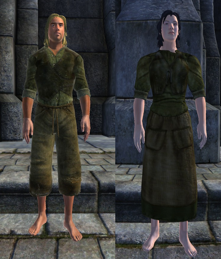 Отстроченная зелёная рубашка The Elder Scrolls Wiki Fandom