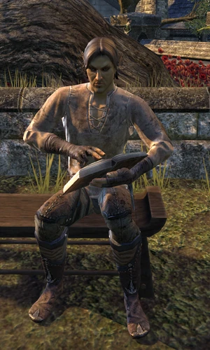 Cinnar | Elder Scrolls | Fandom