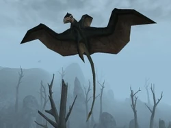 Cliff Racer | The Elder Scrolls Wiki | Fandom