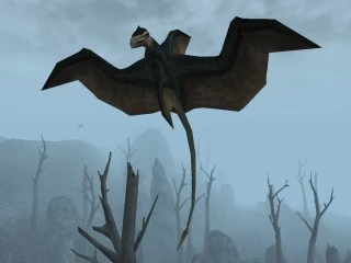 Cliff Racer | The Elder Scrolls Wiki | Fandom