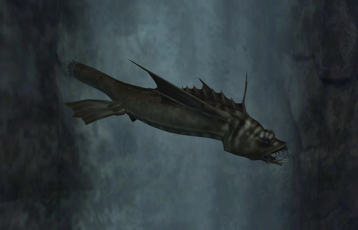 Giant Slaughterfish (Oblivion) | Elder Scrolls | Fandom