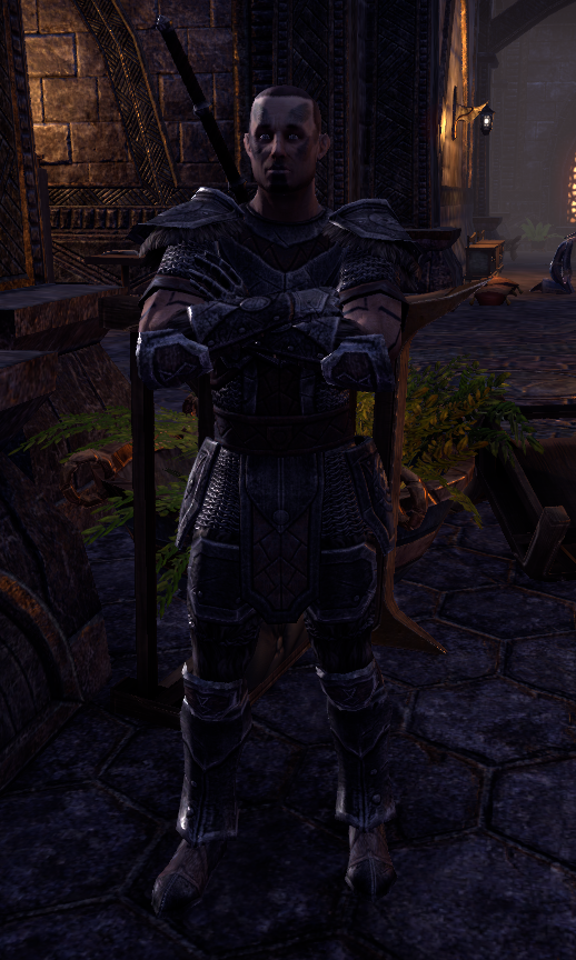 Soldat De Hrogarheim Wiki The Elder Scrolls Fandom
