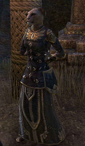 Thalmor Representative | Elder Scrolls | Fandom