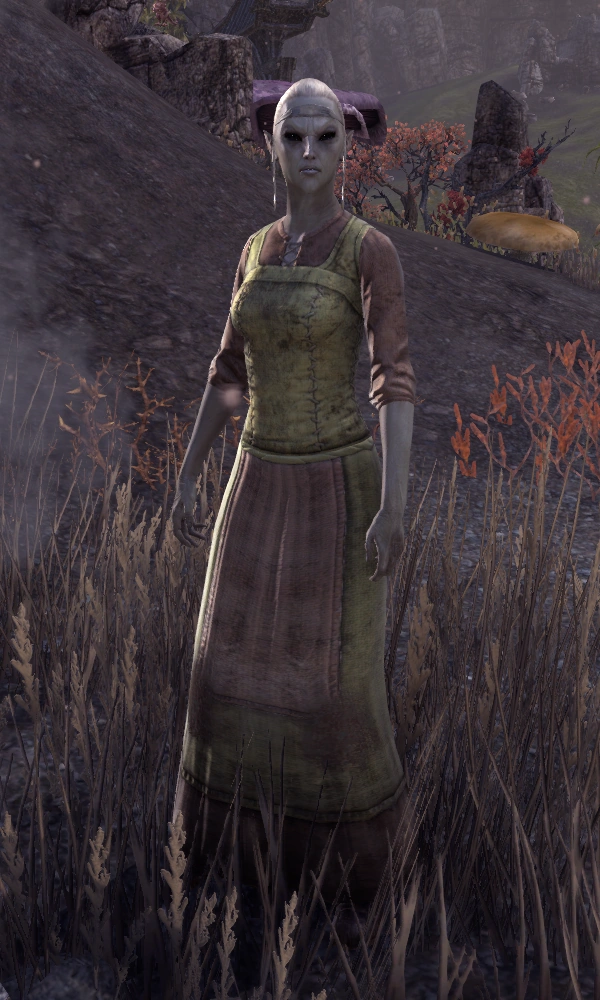 Vlaasti | Elder Scrolls | Fandom