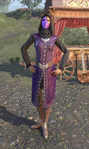 Alchemy (Character) | Elder Scrolls | Fandom