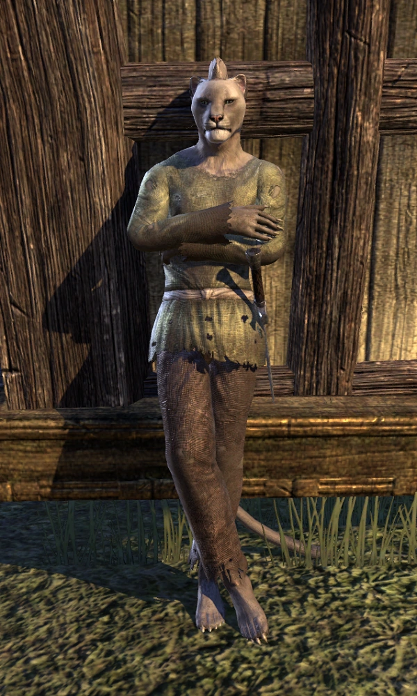 Chickenthief | Elder Scrolls | Fandom