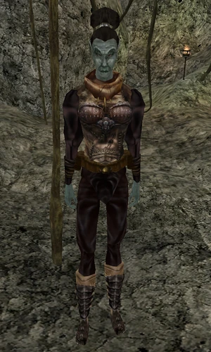 Dovrosi Varyon | Elder Scrolls | Fandom