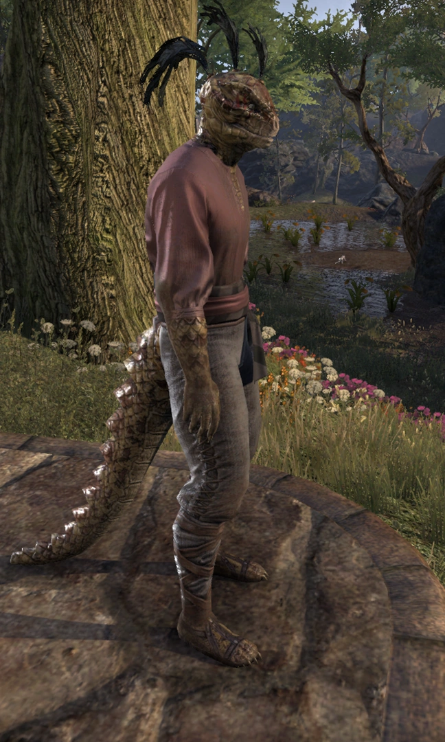 Shanil-Nei | Elder Scrolls | Fandom