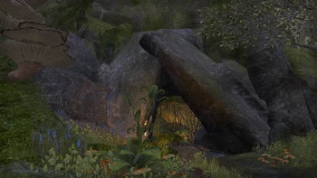 Starwalk Cavern | Elder Scrolls | Fandom