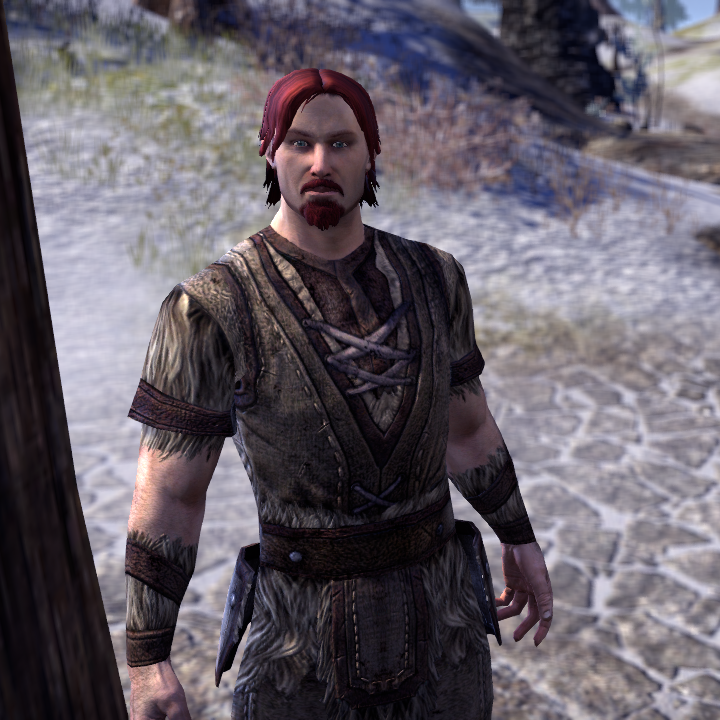 Йоригг Бледный Рассвет The Elder Scrolls Wiki Fandom