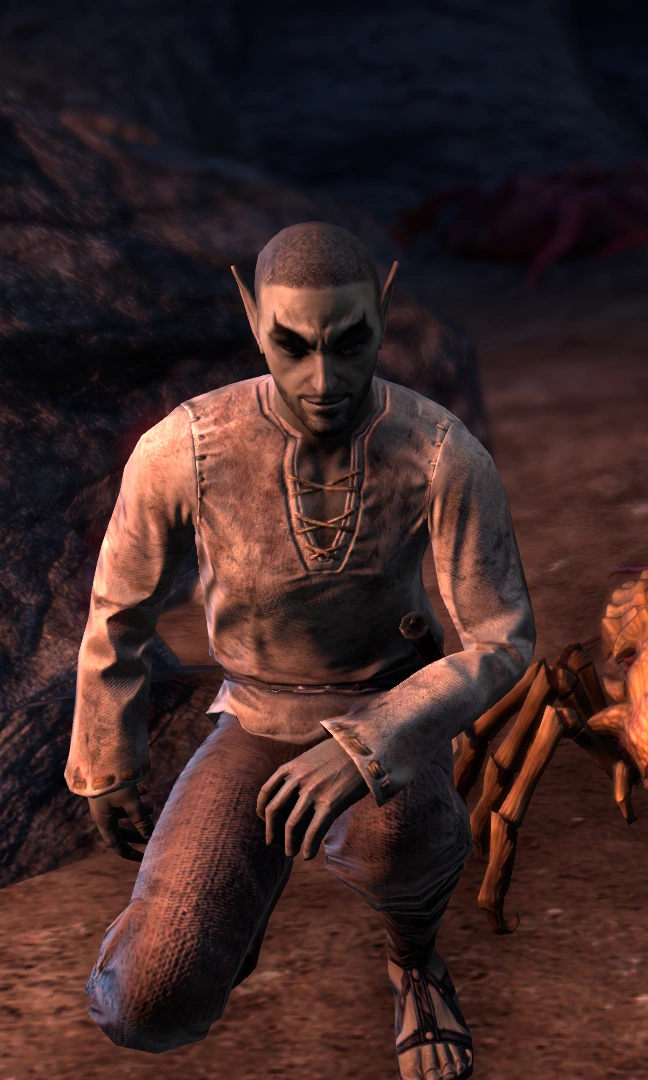 Harvyn Darano | Wiki The Elder Scrolls | Fandom