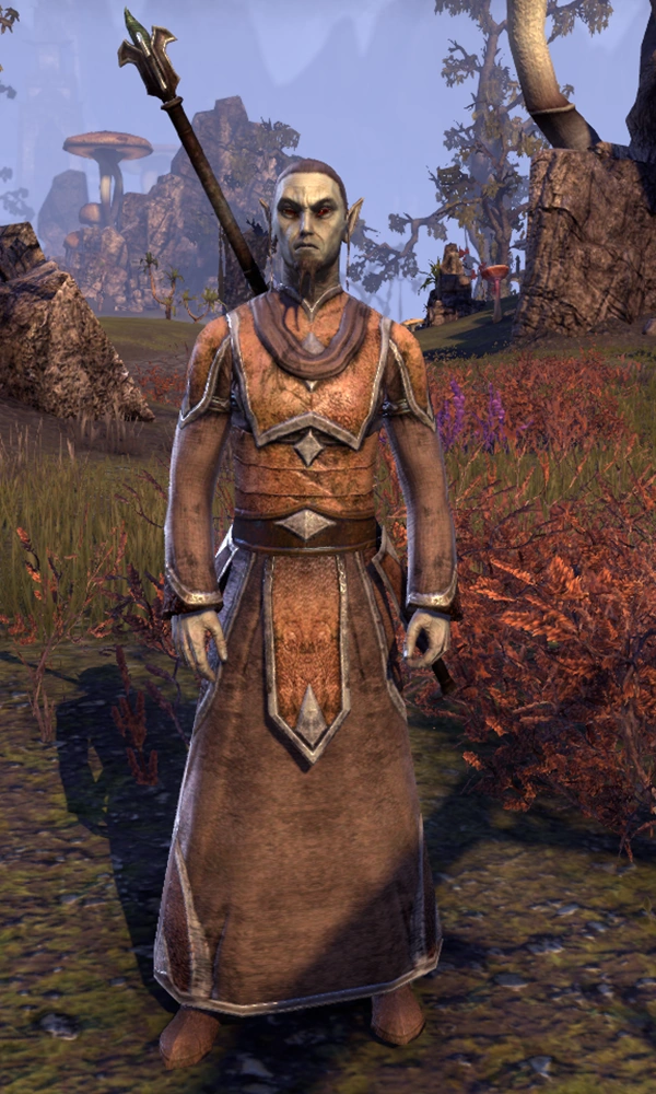 Valdam Andoren | Elder Scrolls | Fandom