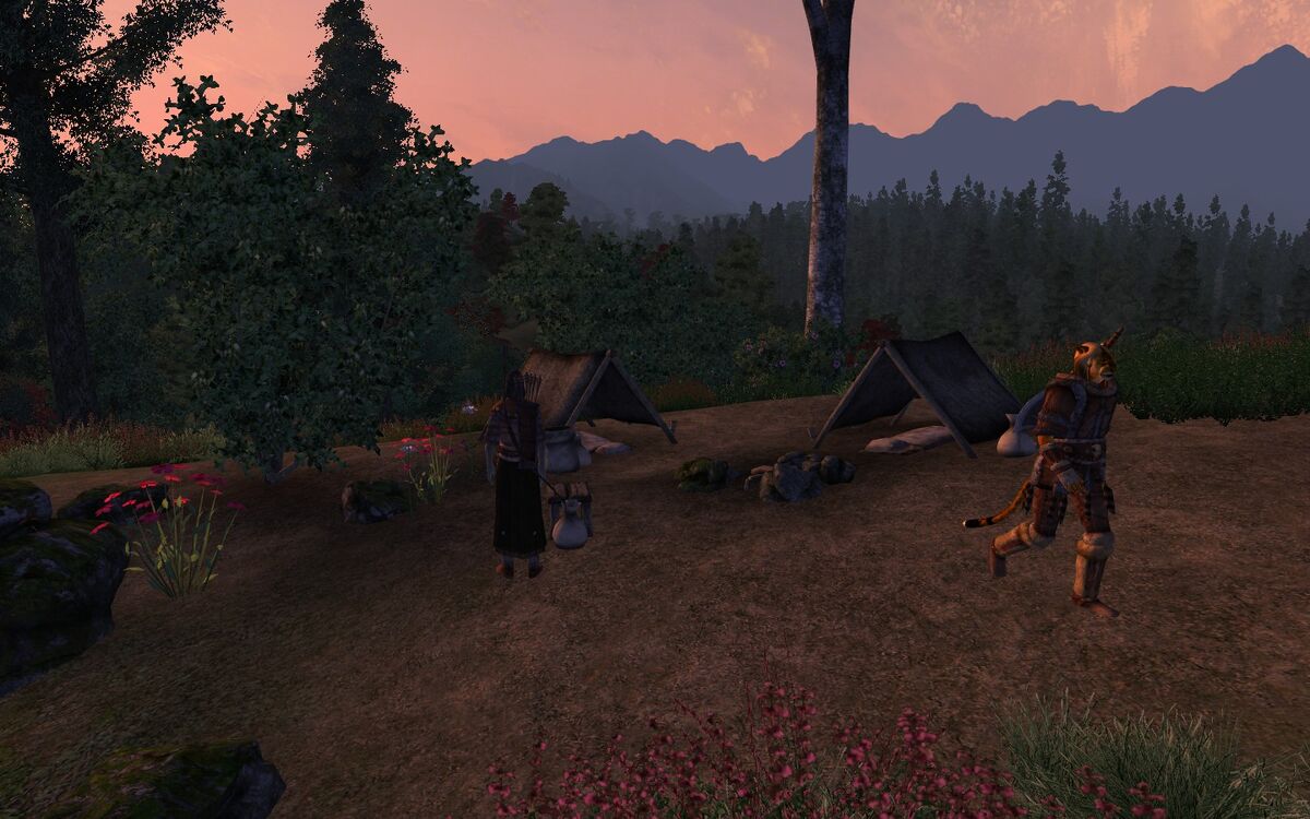 Лагерь Ключица The Elder Scrolls Wiki Fandom