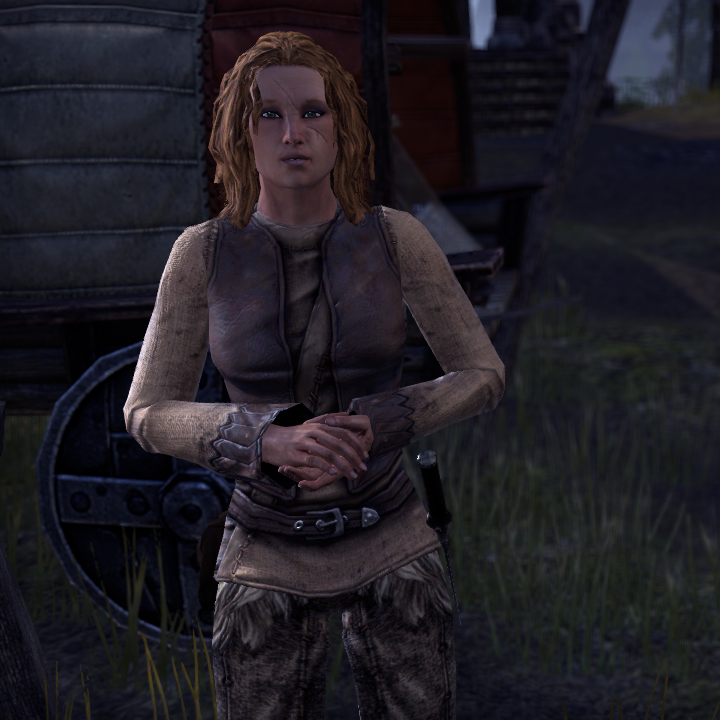 Реннильда Серебряный Топор The Elder Scrolls Wiki Fandom