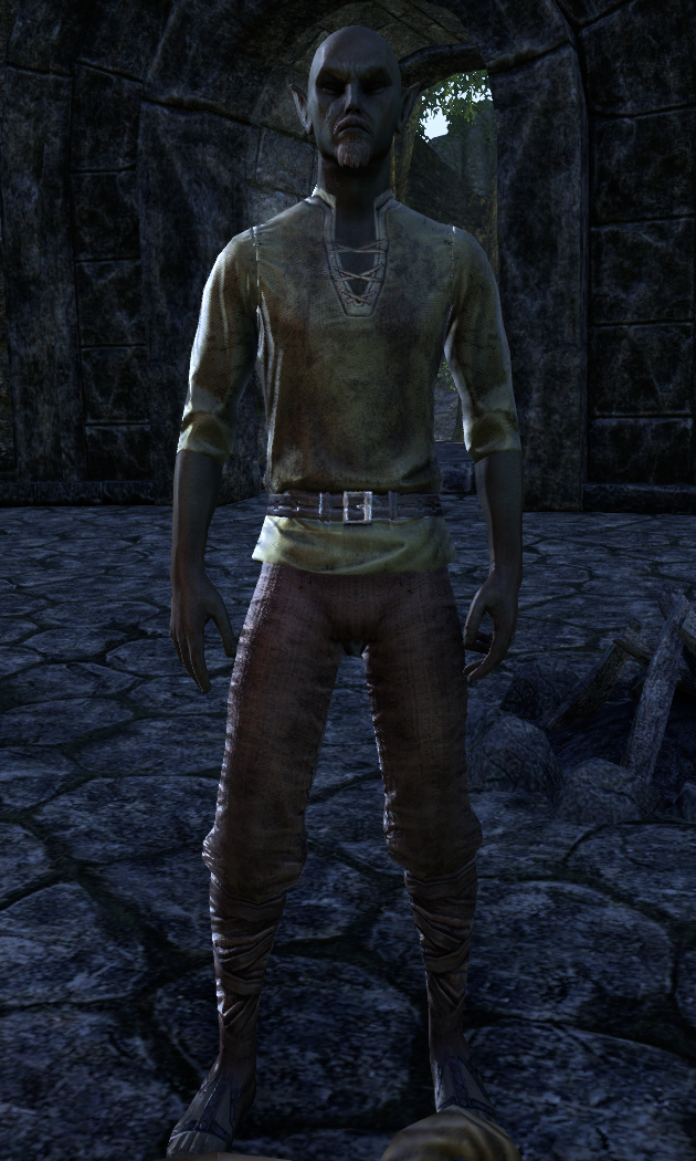 Llanas Dalvilu Elder Scrolls Fandom