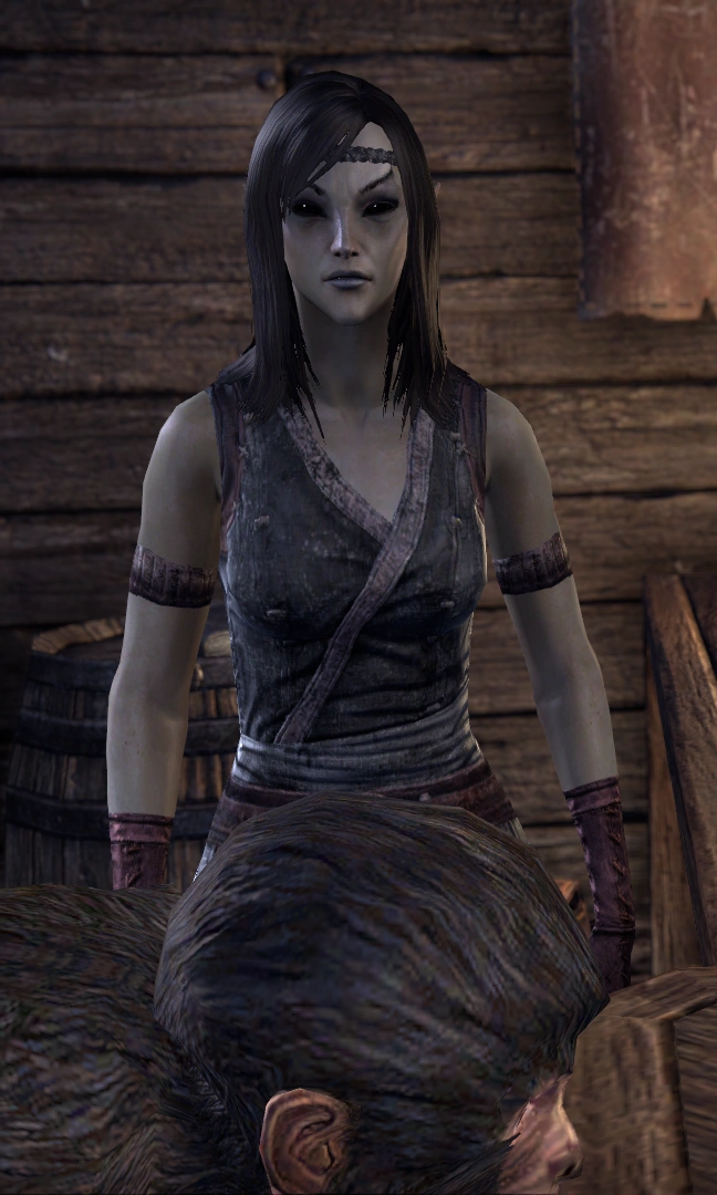 Mulvi | Wiki The Elder Scrolls | Fandom