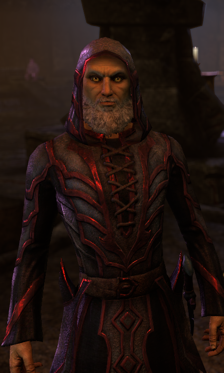Espion Aldmeri Wiki The Elder Scrolls Fandom