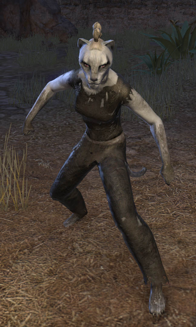 Féroce Malade Wiki The Elder Scrolls Fandom