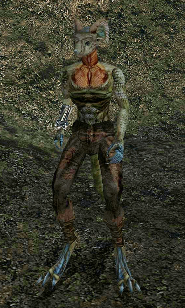 Okaw | The Elder Scrolls Wiki | Fandom