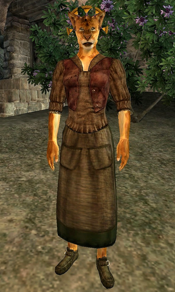 S'mirra | Elder Scrolls | Fandom