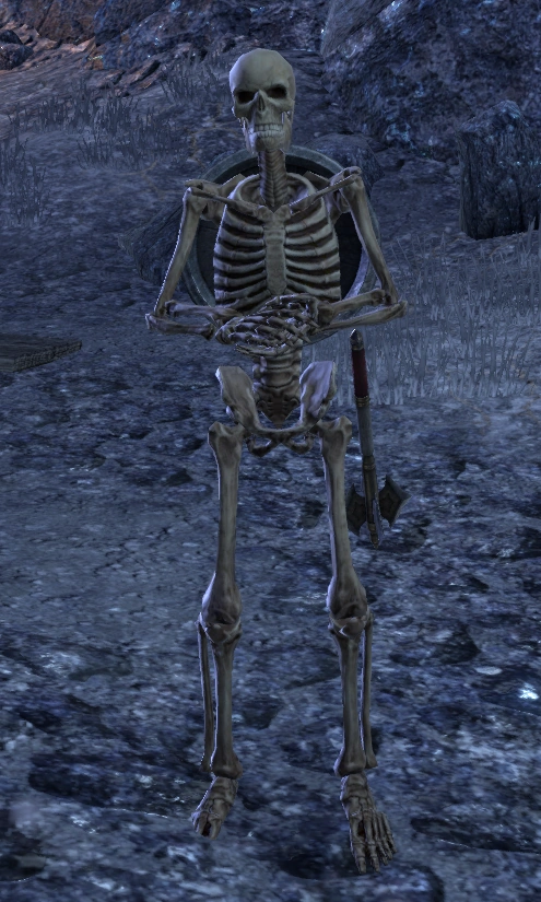 Skeletal Brute | Elder Scrolls | Fandom
