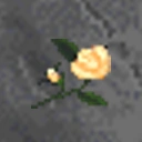 White Rose | Elder Scrolls | Fandom