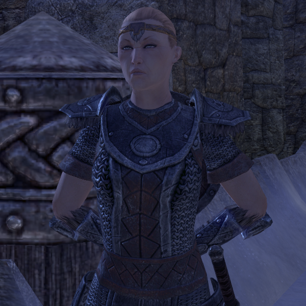 Вальгритта Железный Щит The Elder Scrolls Wiki Fandom