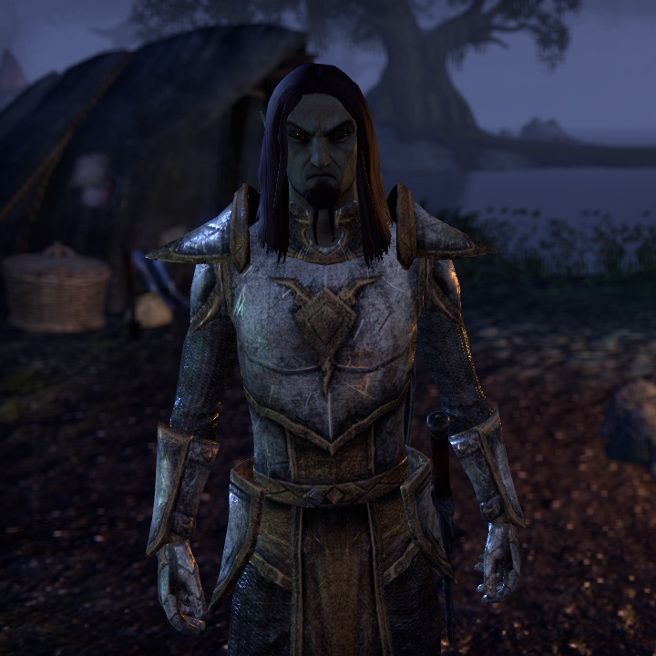 Ронерил Наёмник The Elder Scrolls Wiki Fandom