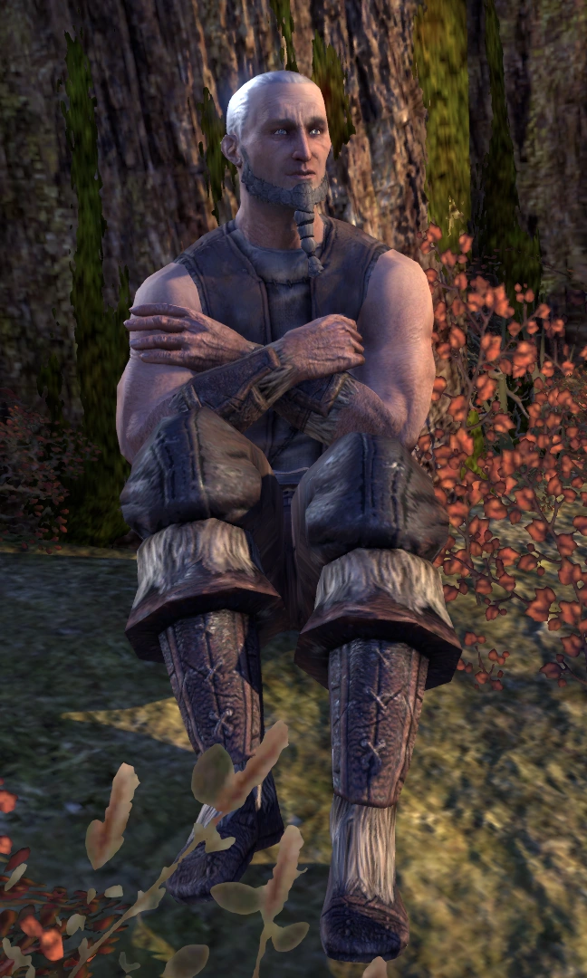 Lothgar Main-sûre | Wiki The Elder Scrolls | Fandom