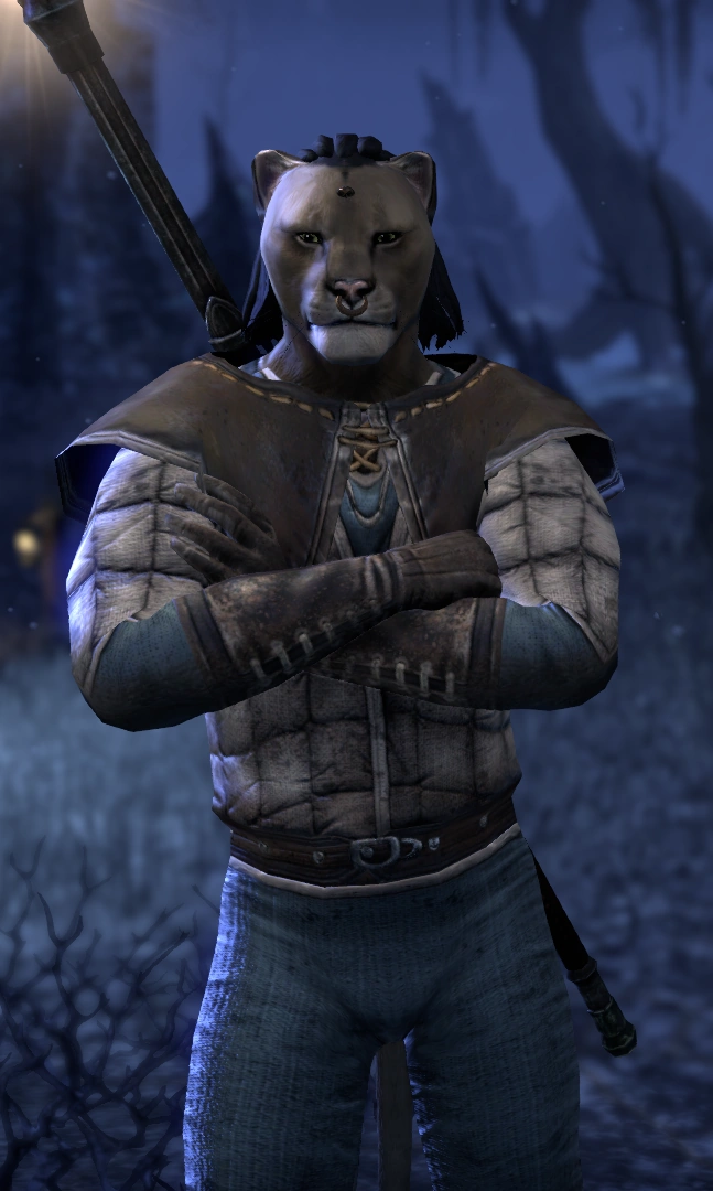 Mim | Wiki The Elder Scrolls | Fandom