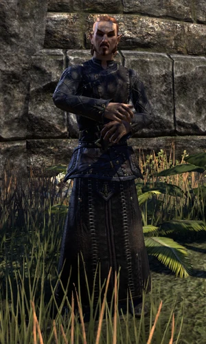 Mirionil | Elder Scrolls | Fandom