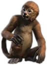 Monkey | Elder Scrolls | Fandom