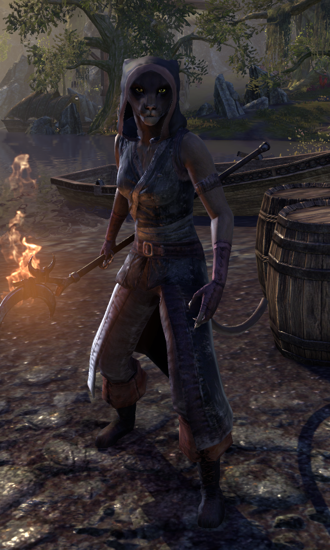 Pyromage Renrijra Wiki The Elder Scrolls Fandom