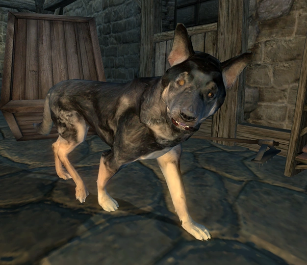 Sakeepa's Dog | Elder Scrolls | Fandom