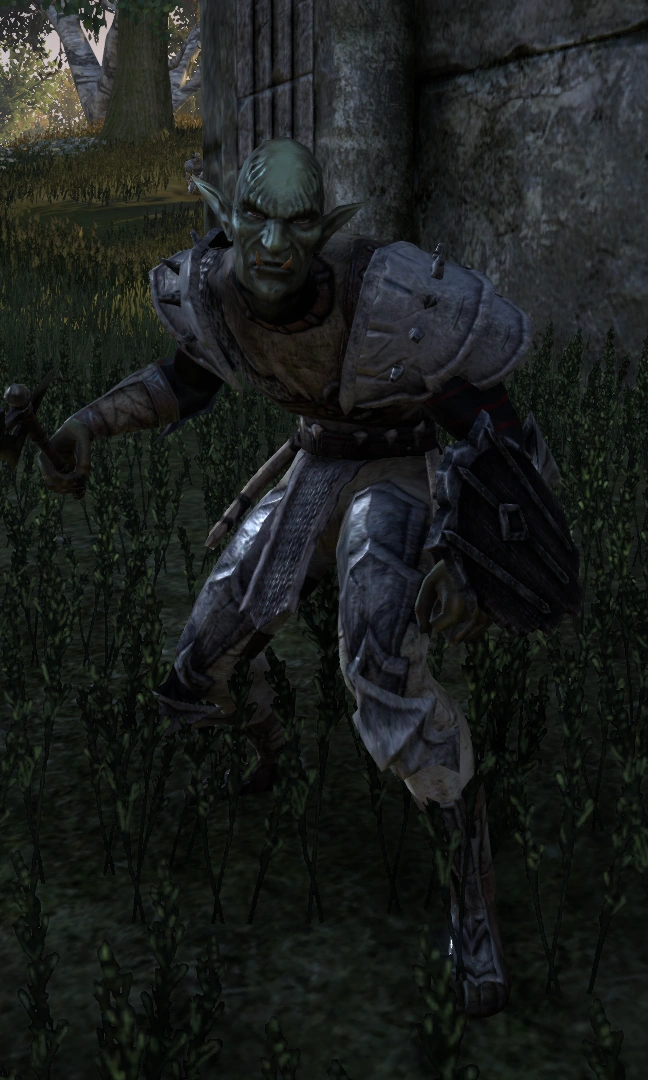 Sauvage de l'Os rouge | Wiki The Elder Scrolls | Fandom