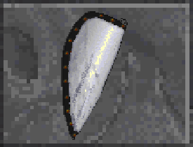 Tower Shield (Daggerfall) | Elder Scrolls | Fandom